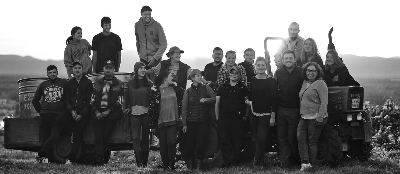 ヴァイングート ゲブリューダー・マティス/Weingut Gebruder Mathis | 取扱い生産者一覧／Winery list ...