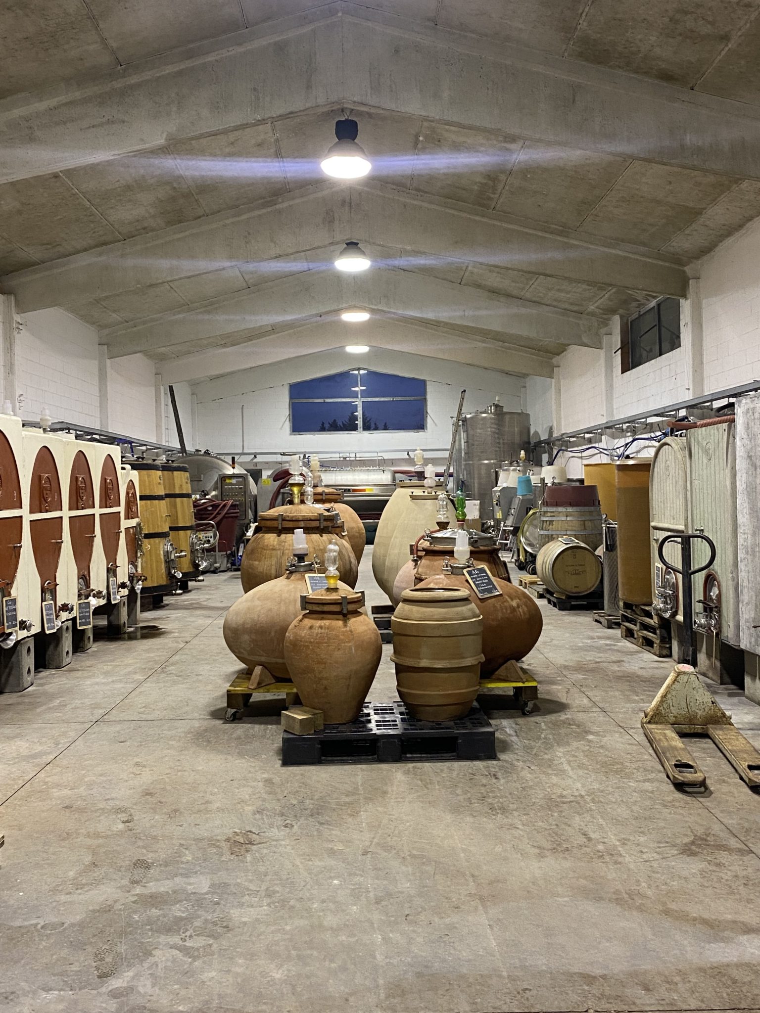 イル・ピングロ / Il Pingro | 取扱い生産者一覧／Winery list | 株式会社オルヴォー